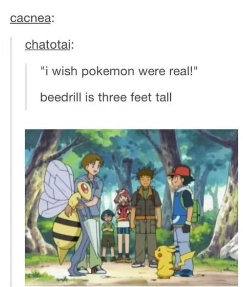 Pin By Ayla Llanes Granillo On Lol Pokemon Funny Pokemon Memes