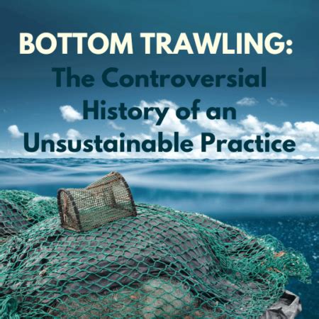 Bottom Trawling The Controversial History Of An Unsustainable Practice