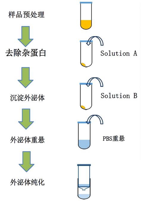 多莱泌血清血浆外泌体分离提取试剂盒——助您轻松获取高纯度外泌体 知乎