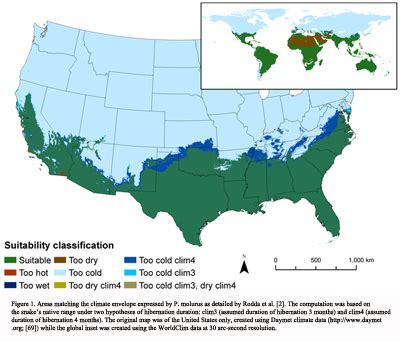 Serpent Research The Invasive Python Problem Climate Modeling And A Revised Map