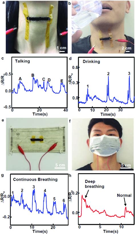 A The Cntpdms 0 Demonstrates Different Sensitivity At Different Download Scientific Diagram