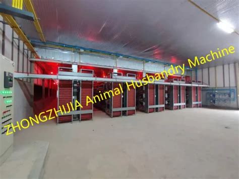 2024 Poultry Automatic Feeding System For Broiler Farm Poultry Farming