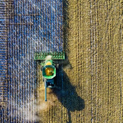 La Superficie Cultivada En El Mundo Crece Un 9 En Apenas Dos Décadas