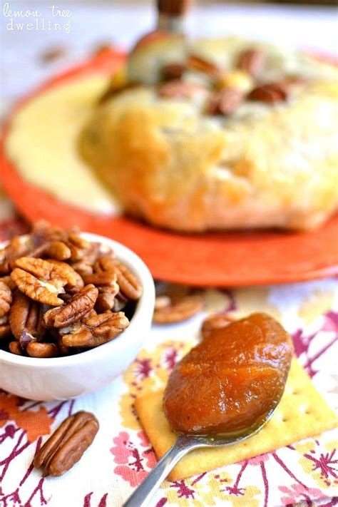Pumpkin Pecan Baked Brie Lemon Tree Dwelling Pecan Baked Brie