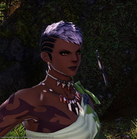 Rp The Ninjas Path The Duskwalkers Path