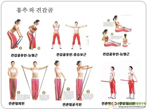 골반과 체간의 전후 및 측면변형과 요가운동처방 네이버 블로그