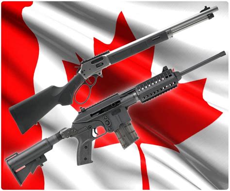 How To Get A Gun License In Canada A Step By Step Guide Canadian