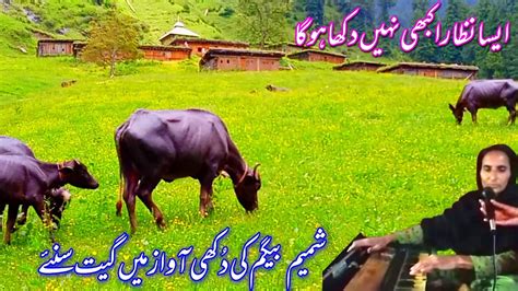 New Dukhi Gojri Bait 2023 By Shamim Begum Gojri Pahari Songbeautiful