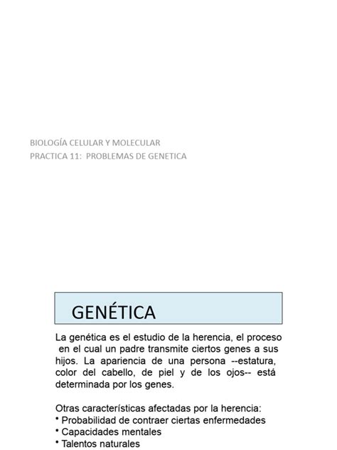 Practica 11 Problemas De Herencia Mendeliana Pdf Dominancia