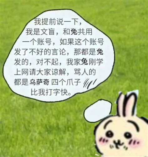 小八 吉伊 乌萨奇表情包 高清图片，堆糖，美图壁纸兴趣社区