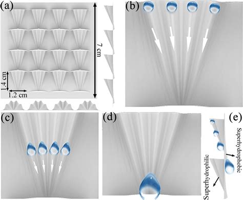 An Efficient Fog Collector Achieved By Optimal Hierarchical Surface Patterns And Wetting