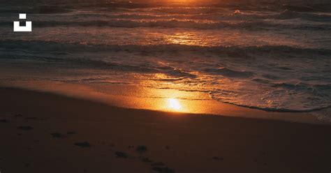 해질녘 바다 위를 날아다니는 새들 사진 Unsplash의 무료 자연 이미지