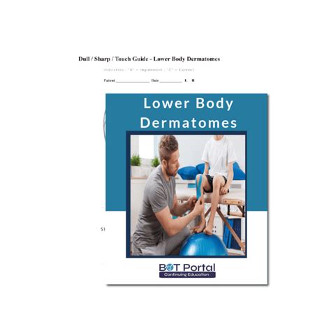 Flexor Synergy Vs Extensor Synergy Patterns