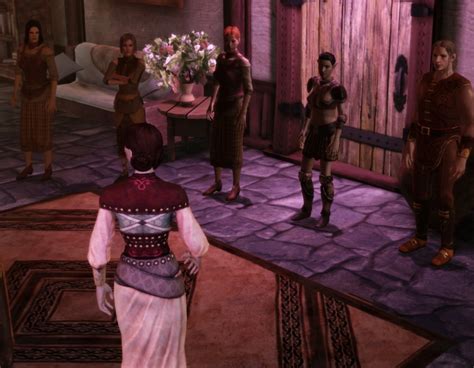 Dragon Age Origins Awakening Romance