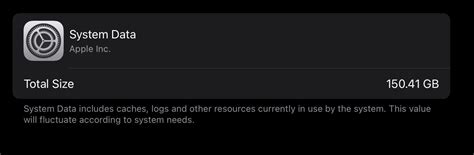 Why Does System Data Take Up 150 Gb Ripad