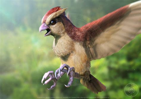 Pidgey By Joshuadunlop On Deviantart
