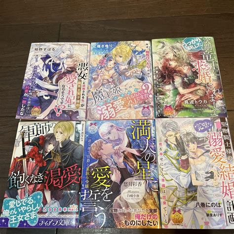 悪女 と誤解される私 が腹黒王太子様の愛され妃になりそうです