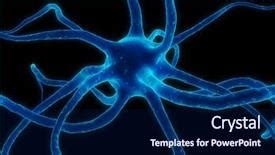 Best Nerve Themed Templates For PowerPoint Google Slides