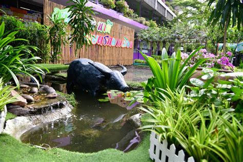 ดินแดงผุดสวนเกษตรกลางเมืองในรั้วโรงเรียนวิชูทิศ พร้อมหว่านข้าวปล่อยปลาในแปลงนาสาธิต สํานักงาน