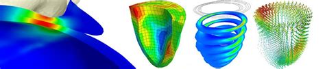 Febio Software Suite