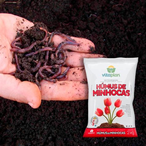 Húmus De Minhoca 2 Kg Adubo Orgânico Rico Em Nutrientes