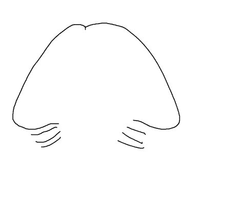 메이플스토리 인벤 야한그림 메이플스토리 인벤 자유게시판 구