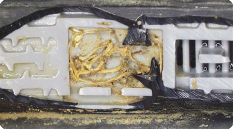 Number 6 Leakage And Clogging Prevention Clogging Cause Root