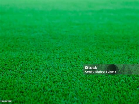 녹색 잔디 텍스처 배경 잔디 정원 개념 녹색 배경 축구 피치 잔디 골프 녹색 잔디 패턴 질감 배경을 만들기 위해 사용 0명에