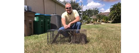 Professional Wildlife Removal