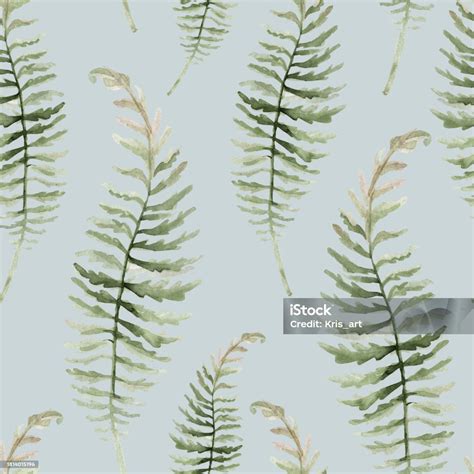 白い花果実シダ葉を持つシームレスな水彩模様植物イラストの背景生地 イラストレーションのベクターアート素材や画像を多数ご用意