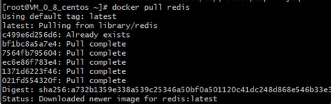 Docker容器部署 Redis服务 Silents Blog 博客园