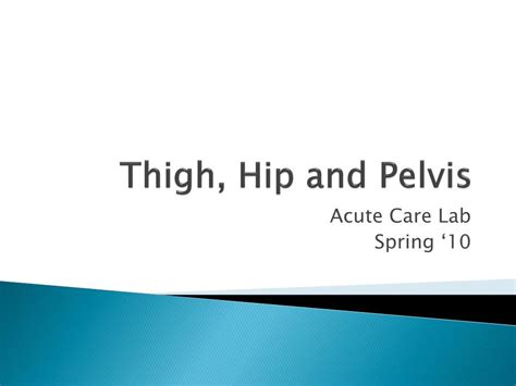 Ppt Thigh Hip And Pelvis Powerpoint Presentation Free Download Id