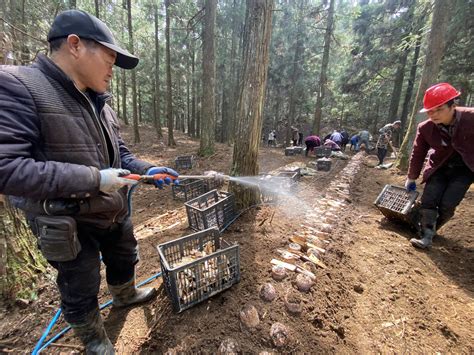 温州新闻网 浙江省重点新闻网站