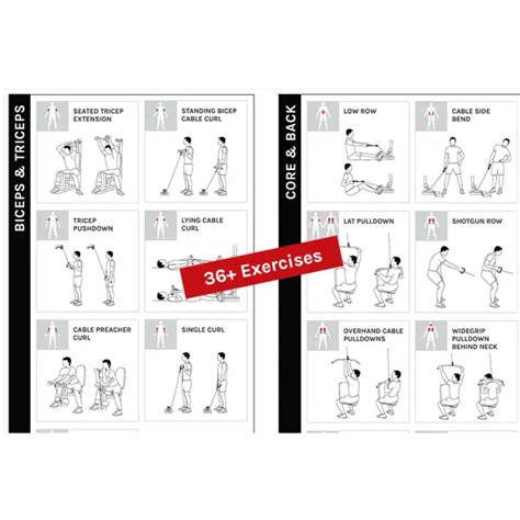 Lifespan Fitness Cortex Ss3 Multifunction Single Station With Integrated Front Rear Fly Fitness At