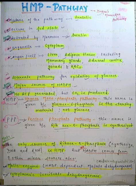 Hmp Pathway Handwritten Notes Pdf Shop Handwritten Notes Shn