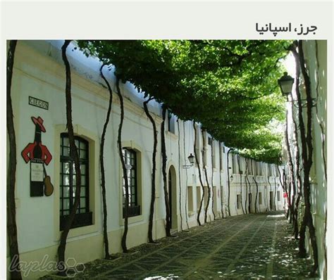 آرامش بخش عکس ویسگون