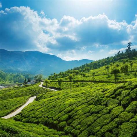 What Are Hill Stations Like In India Tripoto