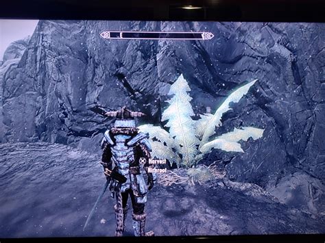 Giant Nirnroot Rskyrim