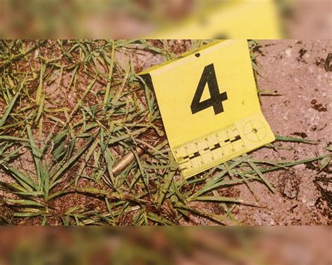 6 Crime Scene The Jury Saw Before Convicting Monster Alex Murdaugh Of