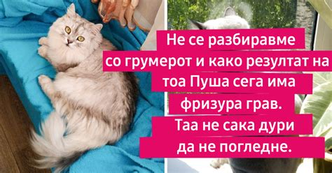 18 Миленичиња кои добија нова фризура но не сите се воодушевени од неа