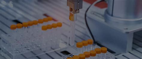 Sequencing Industrial Scale Genome Sequencing Services Gencove