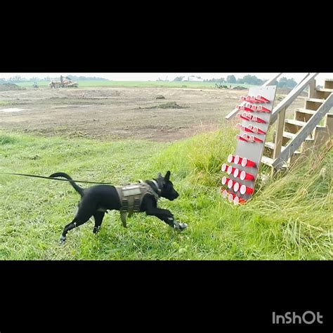 Lesson 11 Session 2 Exercise 2 Youtube