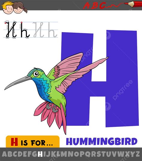 Gambar Ilustrasi Kartun Pendidikan Huruf H Dari Abjad Dengan Watak Haiwan Burung Kolibri Templat