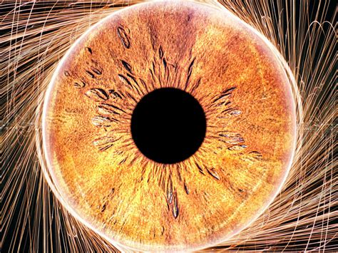Professional Artistic Editing Of Your Iris Photo Upwork