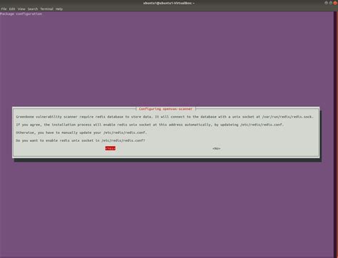 如何在linux中安裝和使用漏洞掃描儀 极客指南