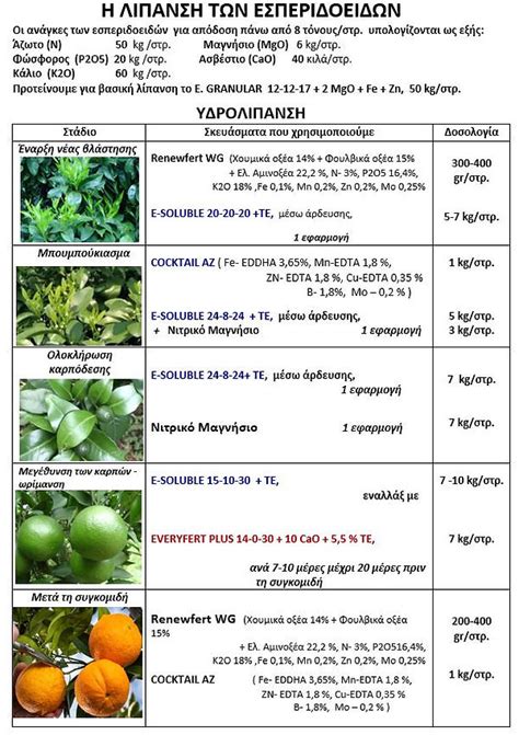 ΛΙΠΑΝΣΗ ΕΣΠΕΡΙΔΟΕΙΔΩΝ Everyseed