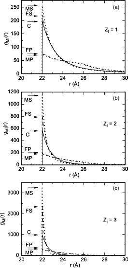 Macroion Counterion Radial Distribution Functions With Counterion