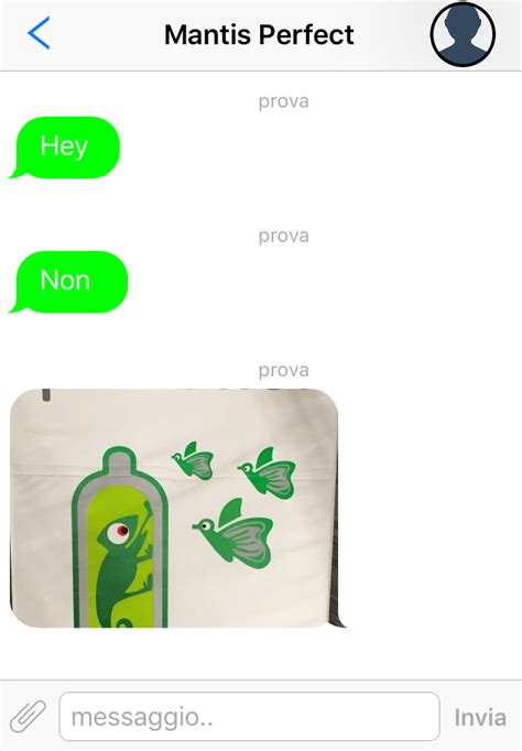Ios Jsqmessage Show Image In Message Stack Overflow