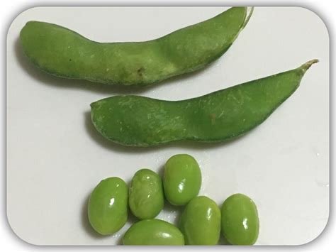 【小豆・大豆】の違い字は似ていても完全に違う面白い食品／馴染みも深い
