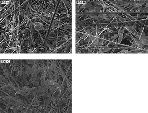 Sem Images Showing The Morphology Of Airborne Particles In Samples Download Scientific Diagram